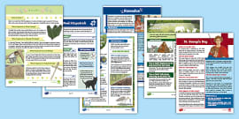 UKS2 December Differentiated Reading Comprehension Activity Pack