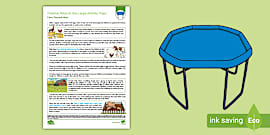 EYFS Farm Activity Planning/Continuous Provision (Reception)