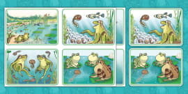 Life Cycle of a Frog Display Poster (teacher made) - Twinkl