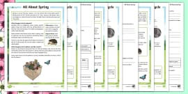 LKS2 Mythical Stories from Different Cultures: The Story of Arachne ...