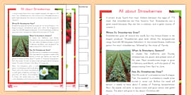 Strawberry Life Cycle Word Mat - strawberries, strawberry plants ...