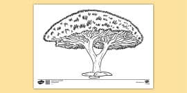 Ghaf Tree Colouring Page (teacher made) - Twinkl