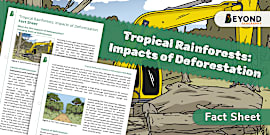 GCSE AQA Tropical Rainforest Characteristics MCQ PowerPoint