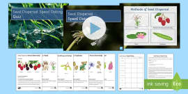 Photo Seed Dispersal Sorting Activity