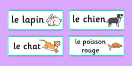 French Animal Vocabulary | Animal Names in French Word Cards