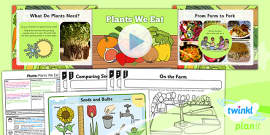 Science: Plants: How a Plant Can Grow Year 2 Lesson Pack 6