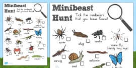 Minibeasts Colouring Sheets (Detailed Version) - Minibeast