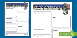 Zebra Writing Template (teacher made) - Twinkl