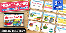 Homophones Activity (teacher made) - Twinkl