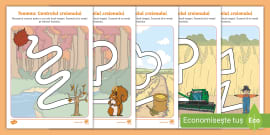 Fișe de lucru - Labirint - Preșcolari. Labirint simplu copii