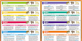 EYFS Safari Activity Planning and Continuous Provision Ideas