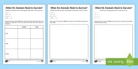 Animals Worksheet for Kids - Primary School Resources