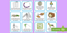 All About Me Gross Motor Activities Cards | Twinkl Resources