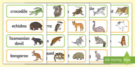 Australian Animals Word Mat | Australian Animals With Words