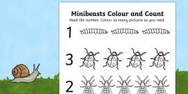 FREE! - Minibeasts Cute Words Colouring Sheet (teacher made)