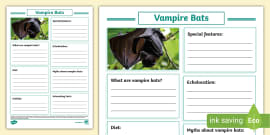 Vampire Bats Fact File - Animals - KS2 (Teacher-Made)