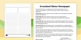 Taiga Biome Newspaper Group Activity (Teacher-Made) - Twinkl