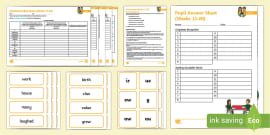 Phase 5 Phonics Assessment Pack (teacher made) - Twinkl