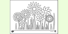 FREE! - Flowers Coloring Sheets (Teacher-Made) - Twinkl
