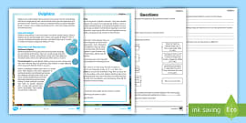 Shark Fact File | Shark Reading Comprehension Activity