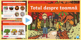 Flori de toamnă Planșe pentru copii - Twinkl România