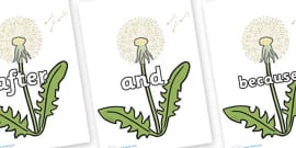 FREE! - KS1 Keywords on Dandelion Seeds (teacher made)