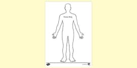 FREE! - Human Body Outline Colouring | Colouring Sheets