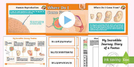 PSHE and Citizenship KS1 Growing Up Lesson 1: Our Bodies