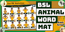 What is BSL (British Sign Language)? | Twinkl Teaching Wiki