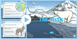 FREE! - The Girl Who Went to the Arctic Animation - Tammy, Inuit, Eskimo