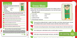 Cress Heads Activity (teacher made) - Twinkl