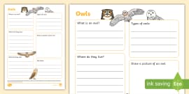 Owl Writing Template (teacher made) - Twinkl