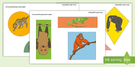 Jungle Pencil Control Sheets | Twinkl Originals