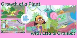 Grouping Animal Diets KS1 Game | Twinkl Go! (teacher made)