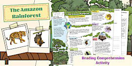 Draw the Amazon Rainforest Art Activity