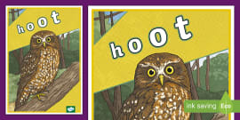 Owl Display Posters (teacher made) - Twinkl