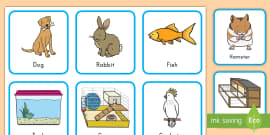 Pets Word Mat - Children's Teaching Resource (teacher made)