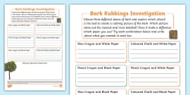 Bark and Leaf Rubbing Activity Sheet | Twinkl