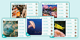 Under the Sea Animal Groups Display Posters (teacher made)