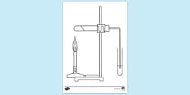 Decomposition | Ecology Wiki Page - Twinkl