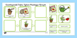 Taflen Weithgaredd Labelu Rhannau Blodyn (teacher made)