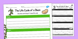 Literacy Steps To Success Sheet (teacher made) - Twinkl