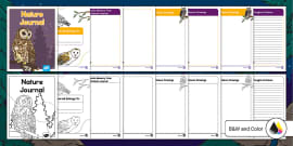 Rube Goldberg Family Read Aloud Activity (teacher made)