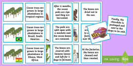 The History of Chocolate Timeline Ordering Activity Cards