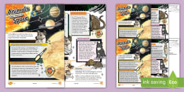 Solar System and Planets KS1 Comprehension Activity - Twinkl