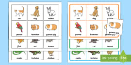 Pets Themed Bingo (Teacher-Made) - Twinkl