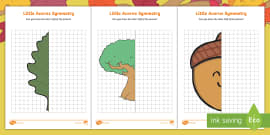 Symmetry in Nature Worksheet / Worksheet, worksheet