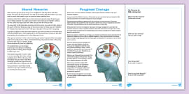 KS2 Ukraine Differentiated Reading Comprehension Activity