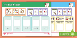 Five Senses Wheel Worksheet | Teaching Resource - Twinkl