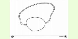 Structure of the Eye Colouring | Colouring Sheets - Twinkl
